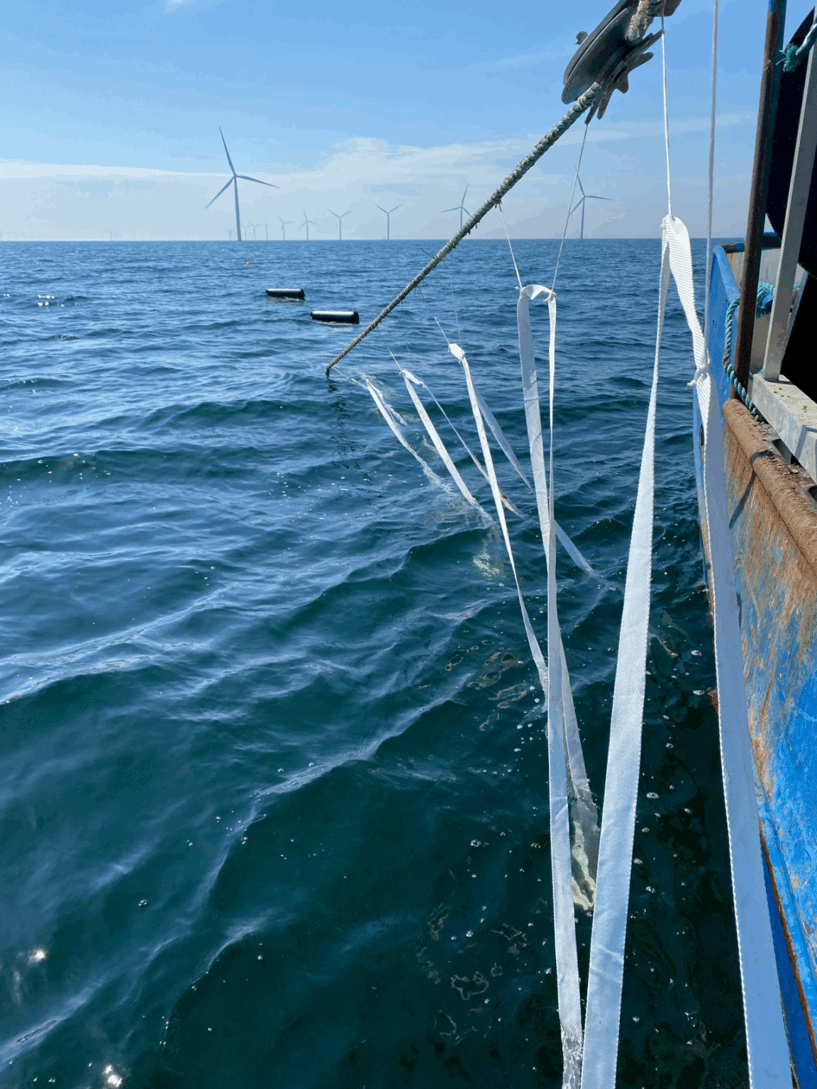 Danish Pilot Samsø update - July 2024 | ULTFARMS